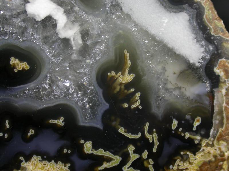 Pony Butte Thunderegg with Elegant Moss Streamers