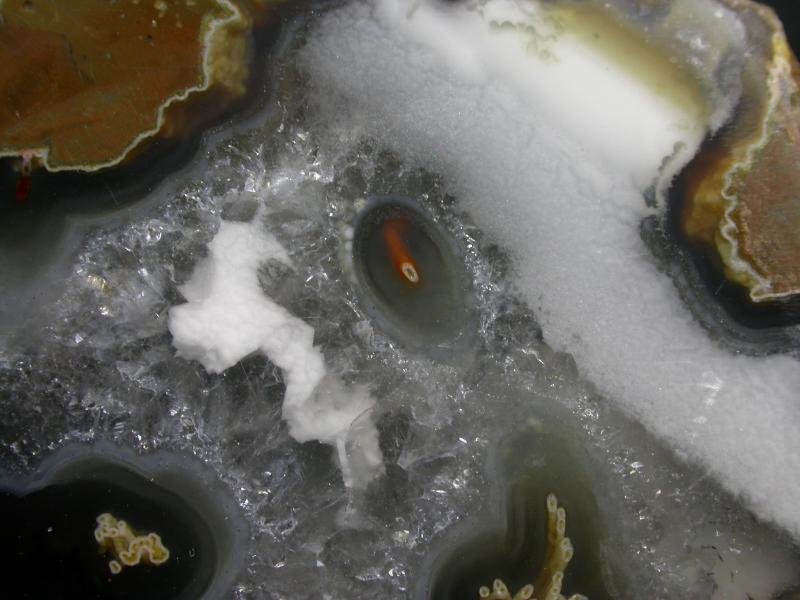 Pony Butte Thunderegg with Elegant Moss Streamers
